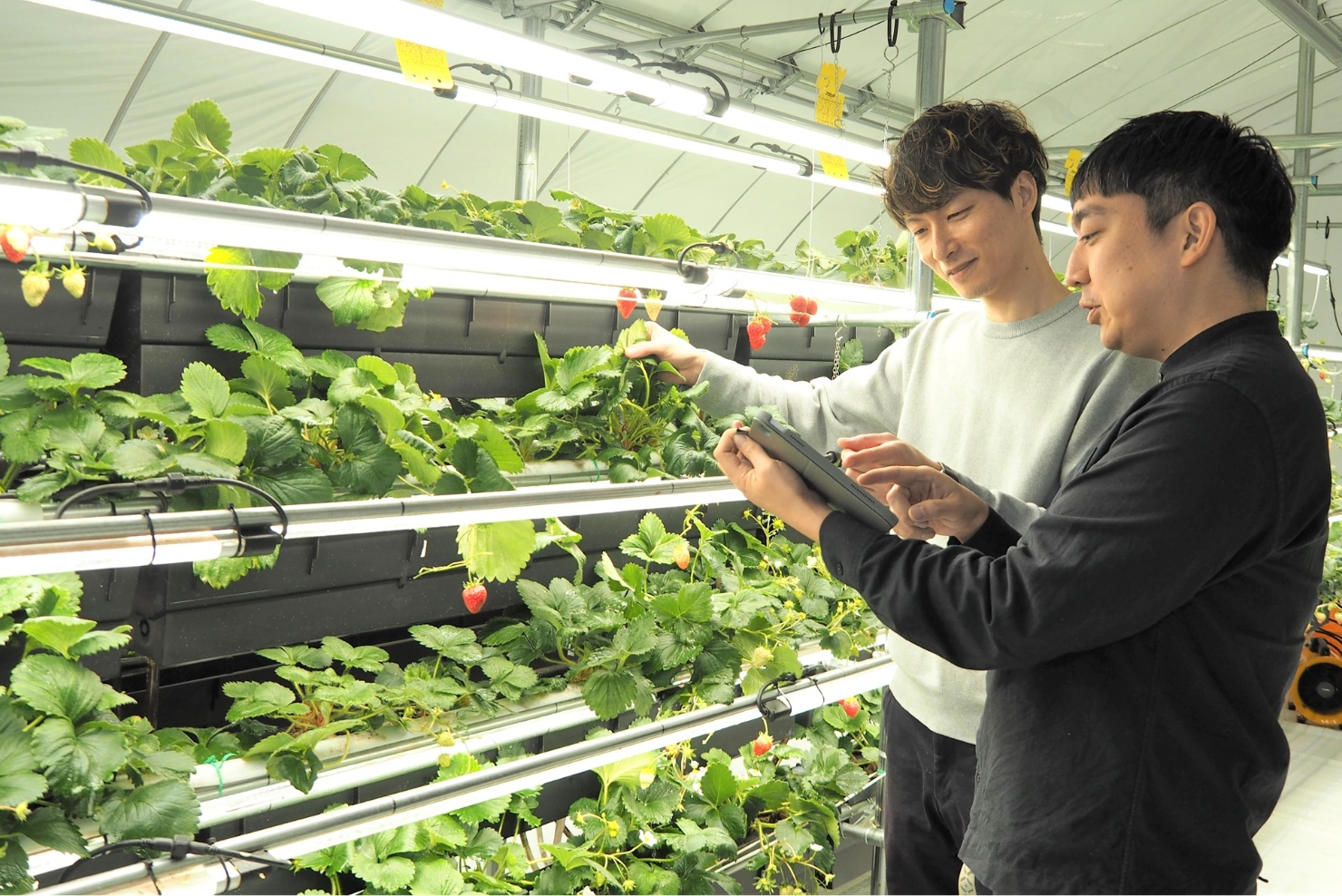 The changing times as an opportunity —Business Idea Contest | Toyoda ...